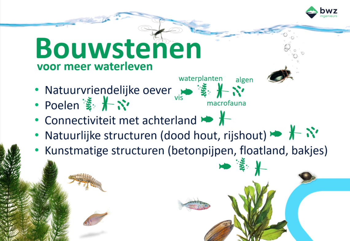 NVO Rijnhuizen Nieuwegein - BWZ Ingenieurs